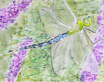 Dragonfly 510 Print - Etsy
