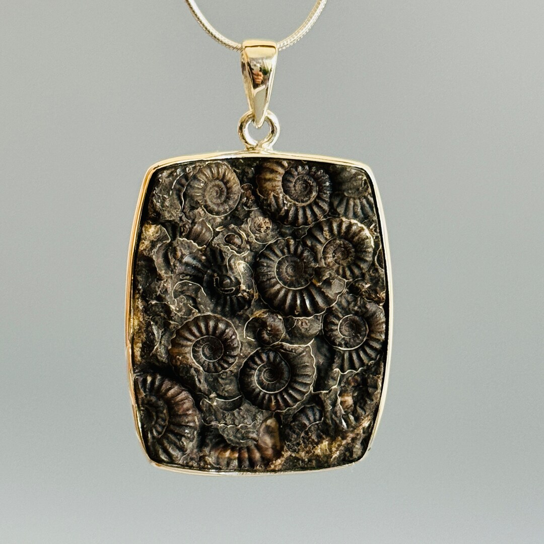Ammonite Fossil Pendant Natural Fossil 925 Sterling Silver Pendant ...
