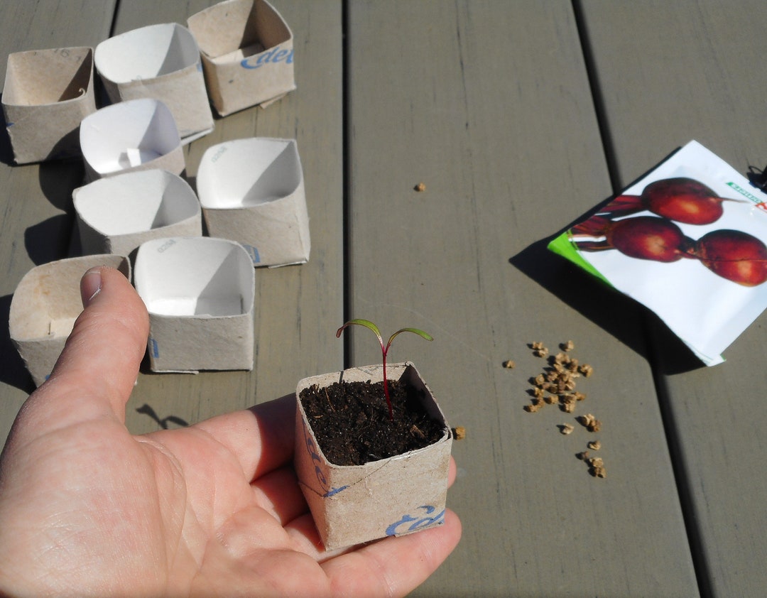 Eco Friendly Paper Seed Starter Pots Biodegradable Carton - Etsy