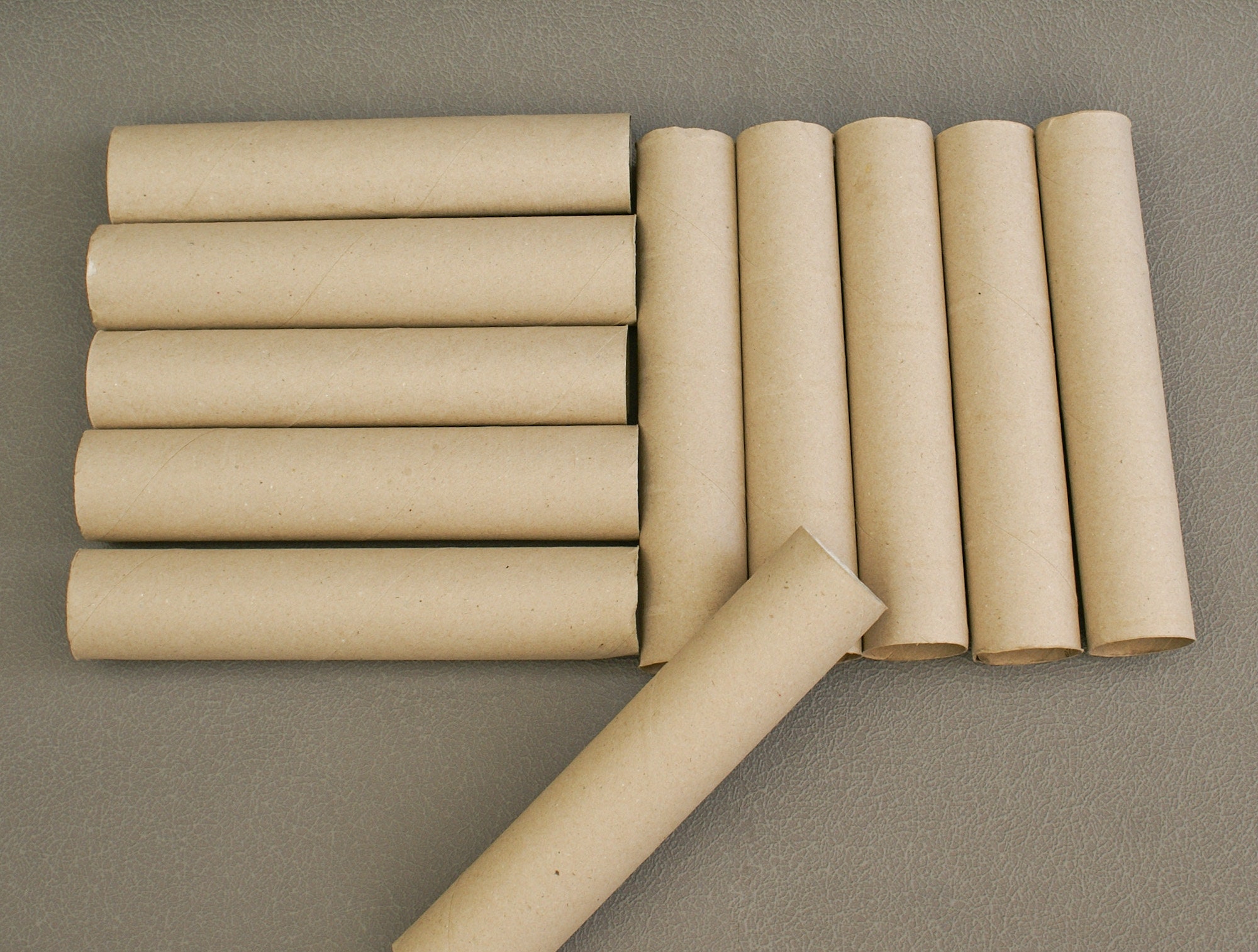 Empty Paper Towel Rolls Cardboard Tubes Long Cylinders Recyclable Craft ...