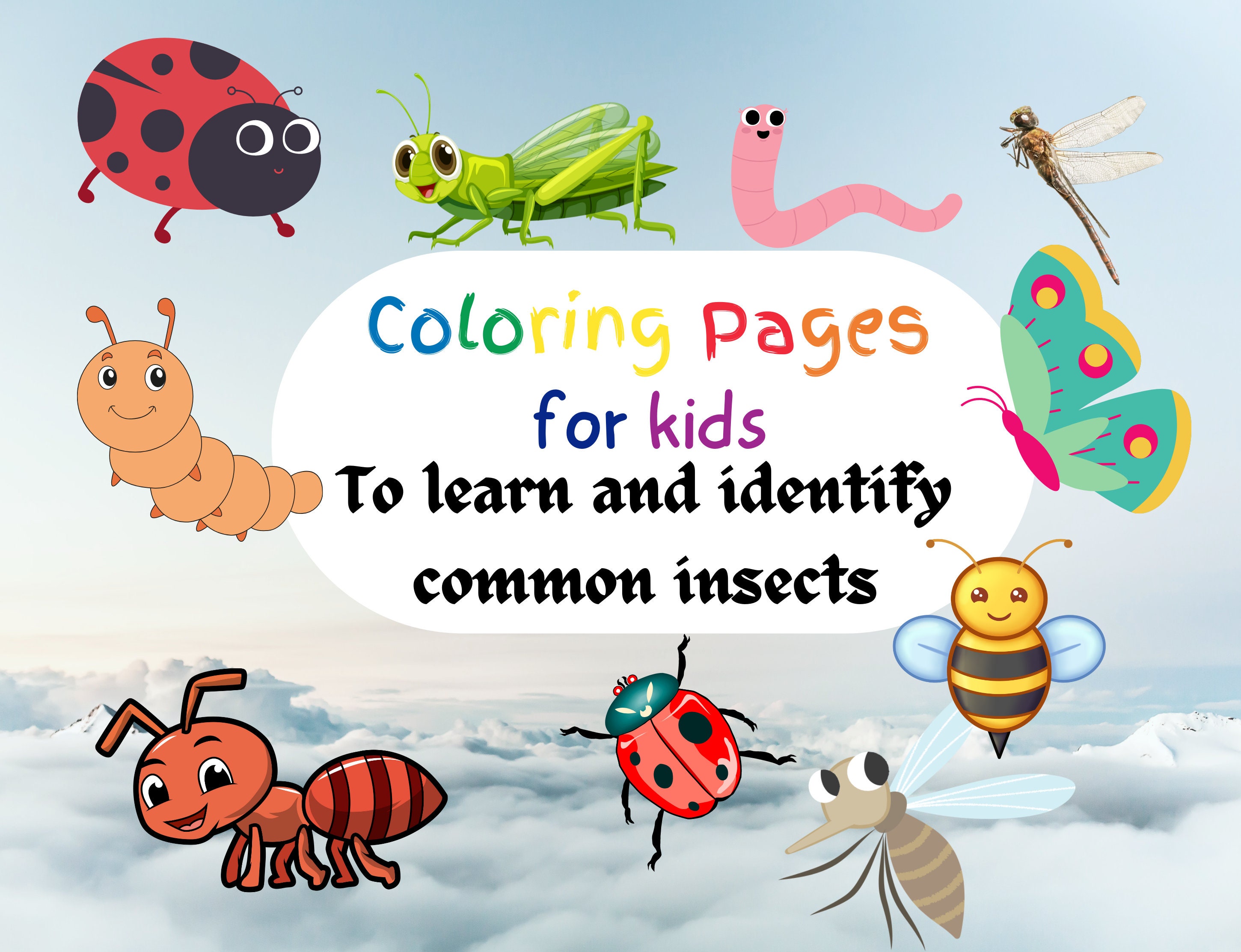 Bug Coloring Pages For Preschool