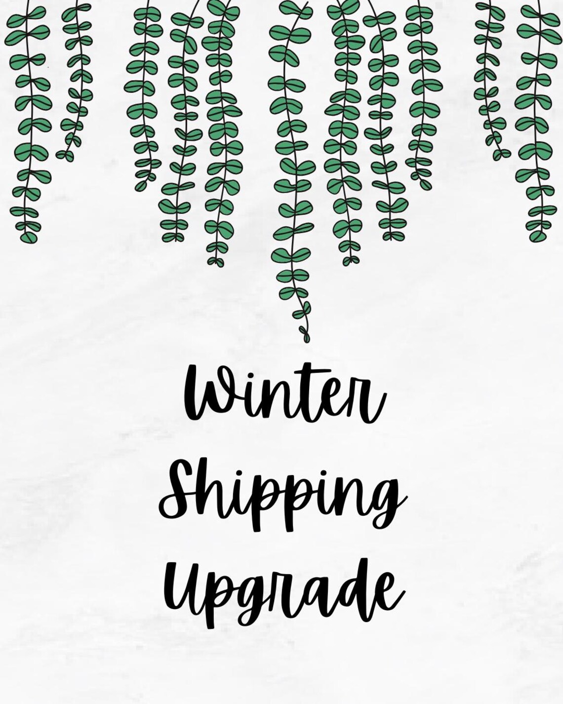 Winter Shipping Upgrade - Etsy