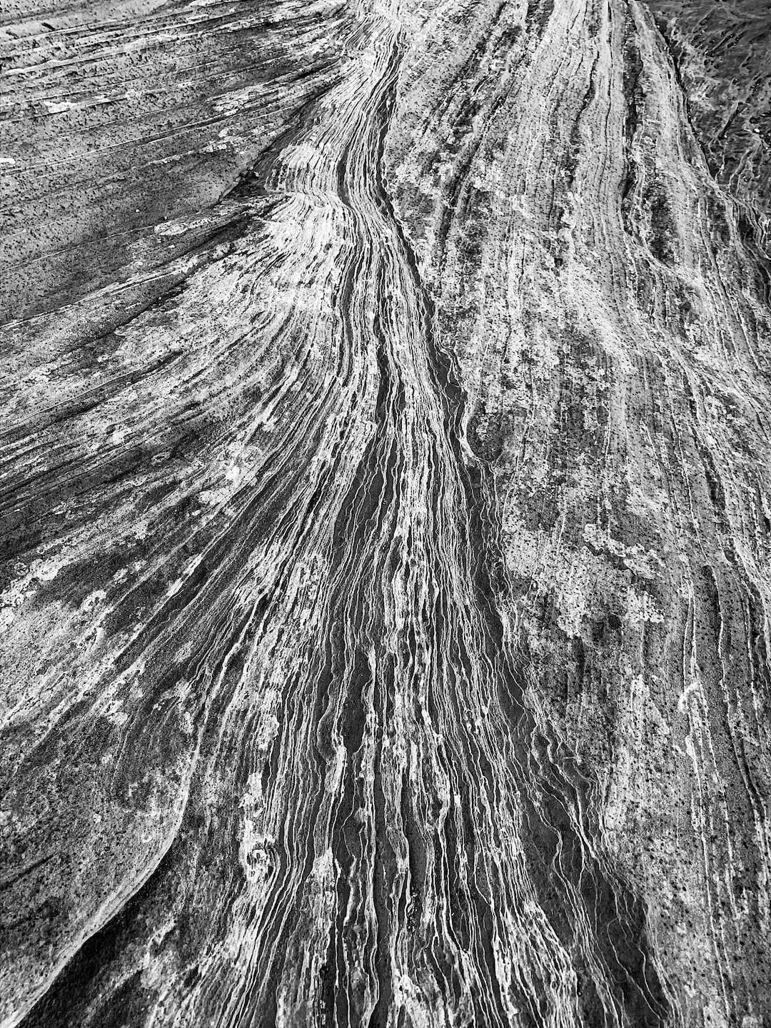 Black and White Arizona Desert Texture Art Photo Print - Etsy