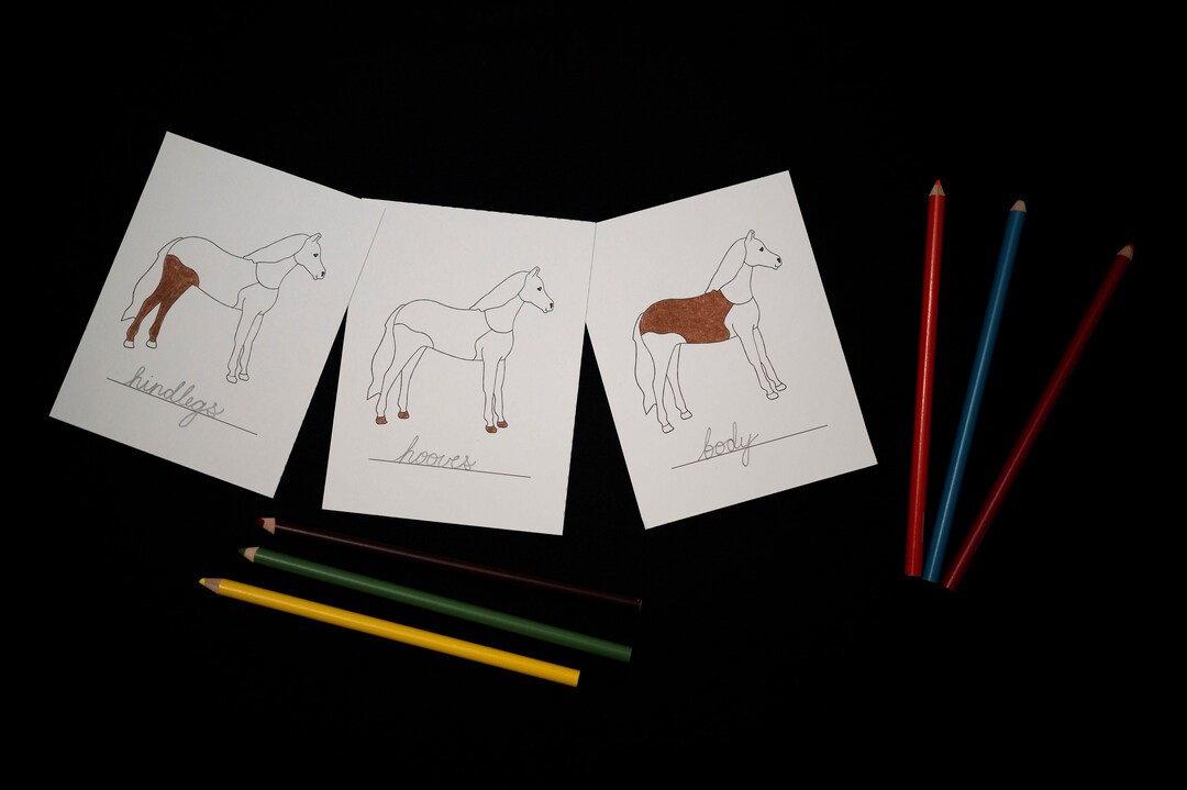 Montessori Parts of an Animal and Plant Collection | Preschool Toddler ...