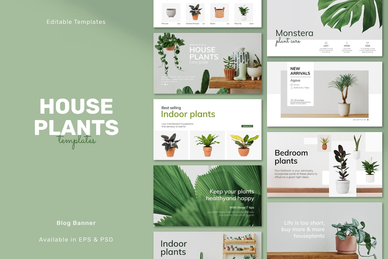 House Plants Template - Etsy