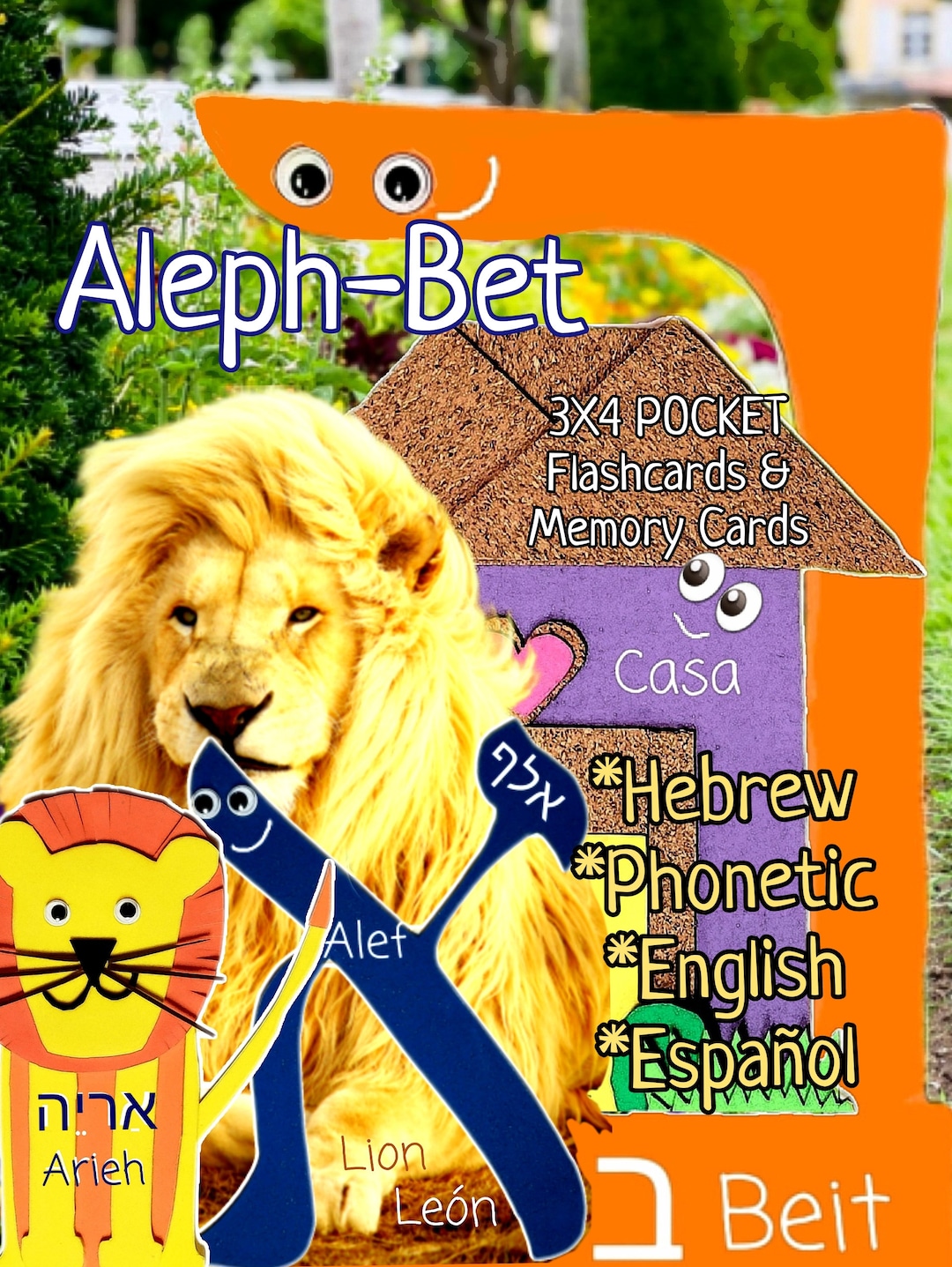 Aleph bet 4x3 Pocket Falsh and Memory Cards - Etsy