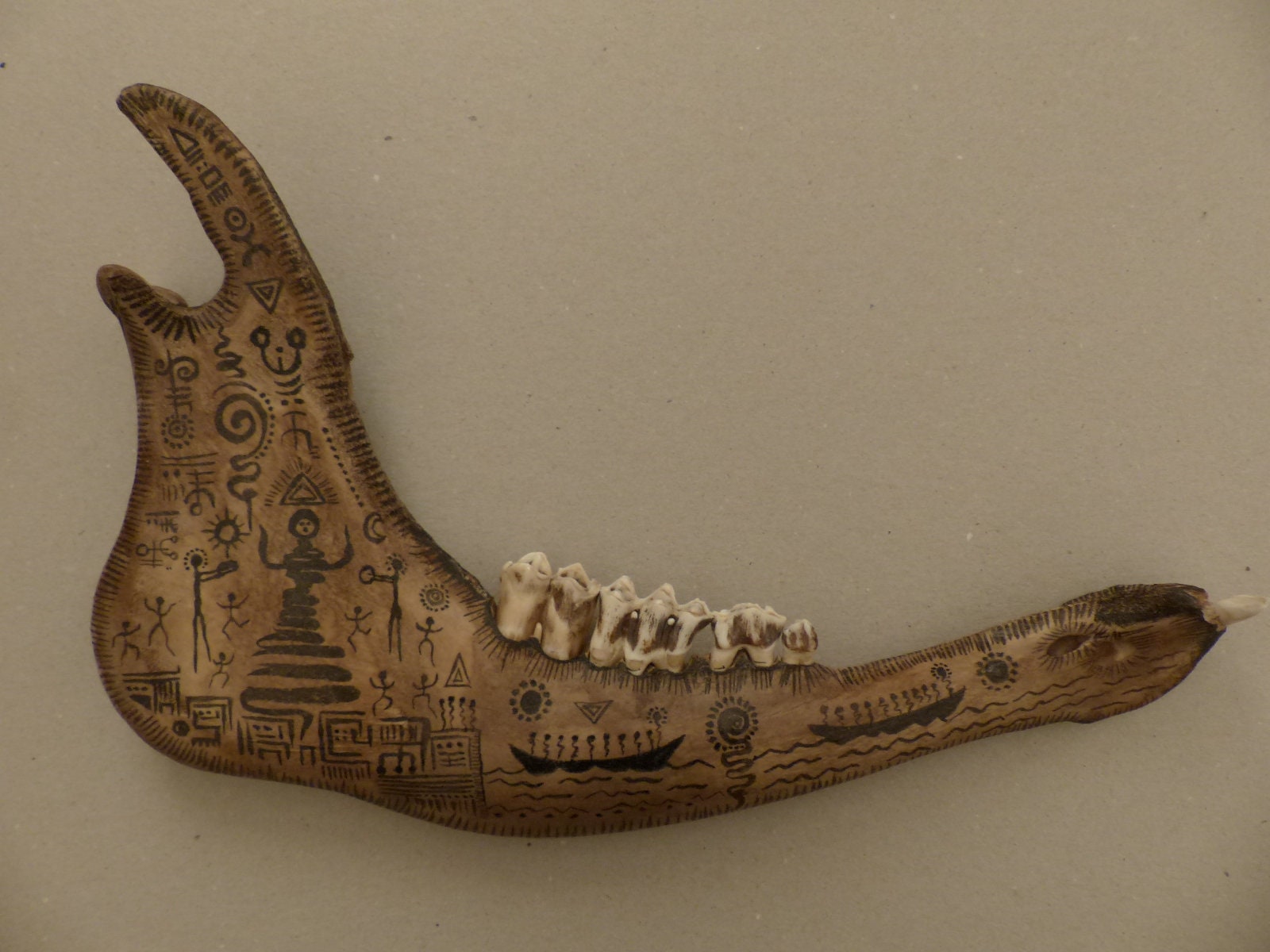 Real Bone Cattle Jaw Tribal Art Wicca Natural Materials - Etsy