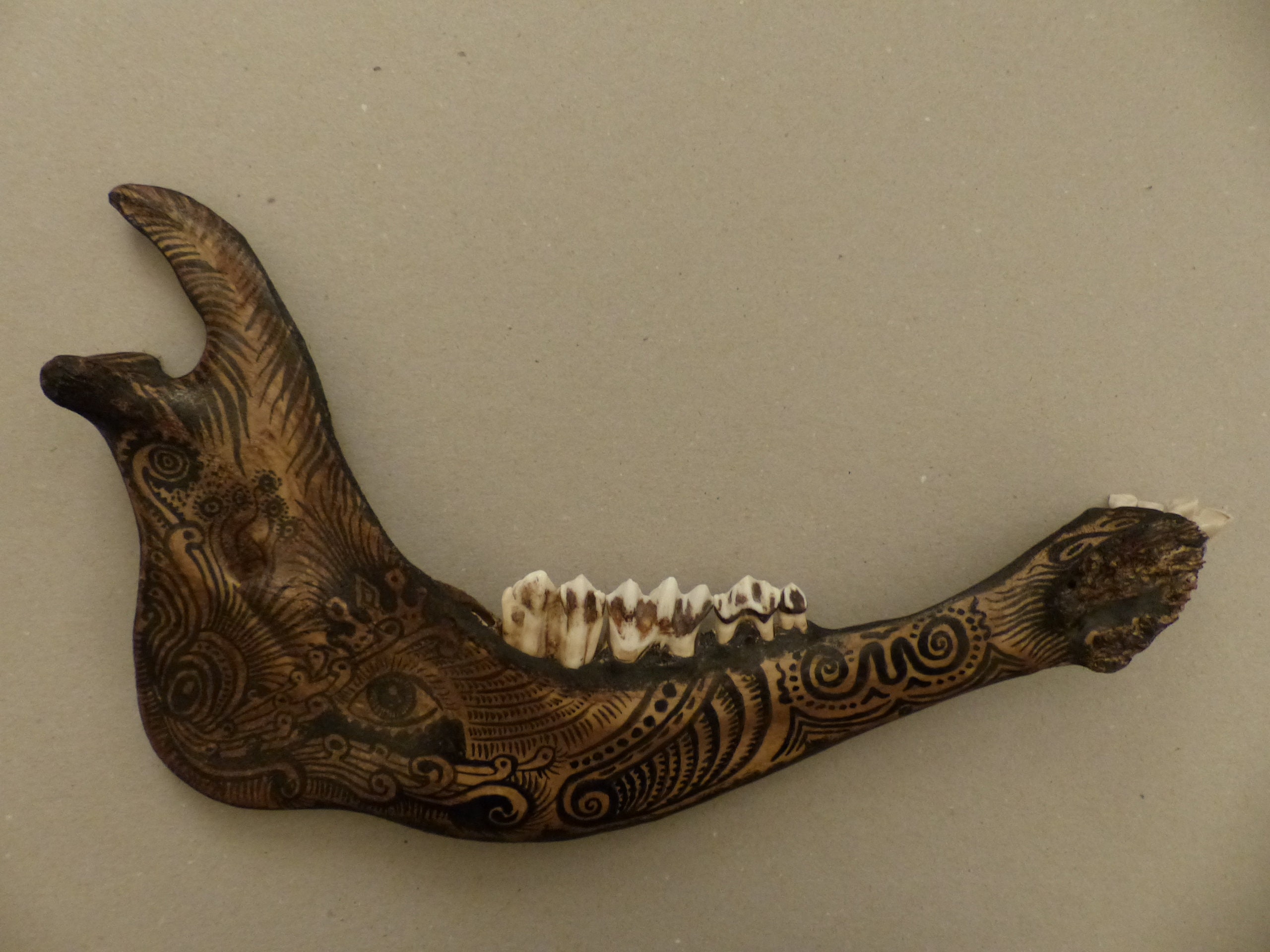 Real Bone Cattle Jaw Tribal Art Wicca Art Natural - Etsy