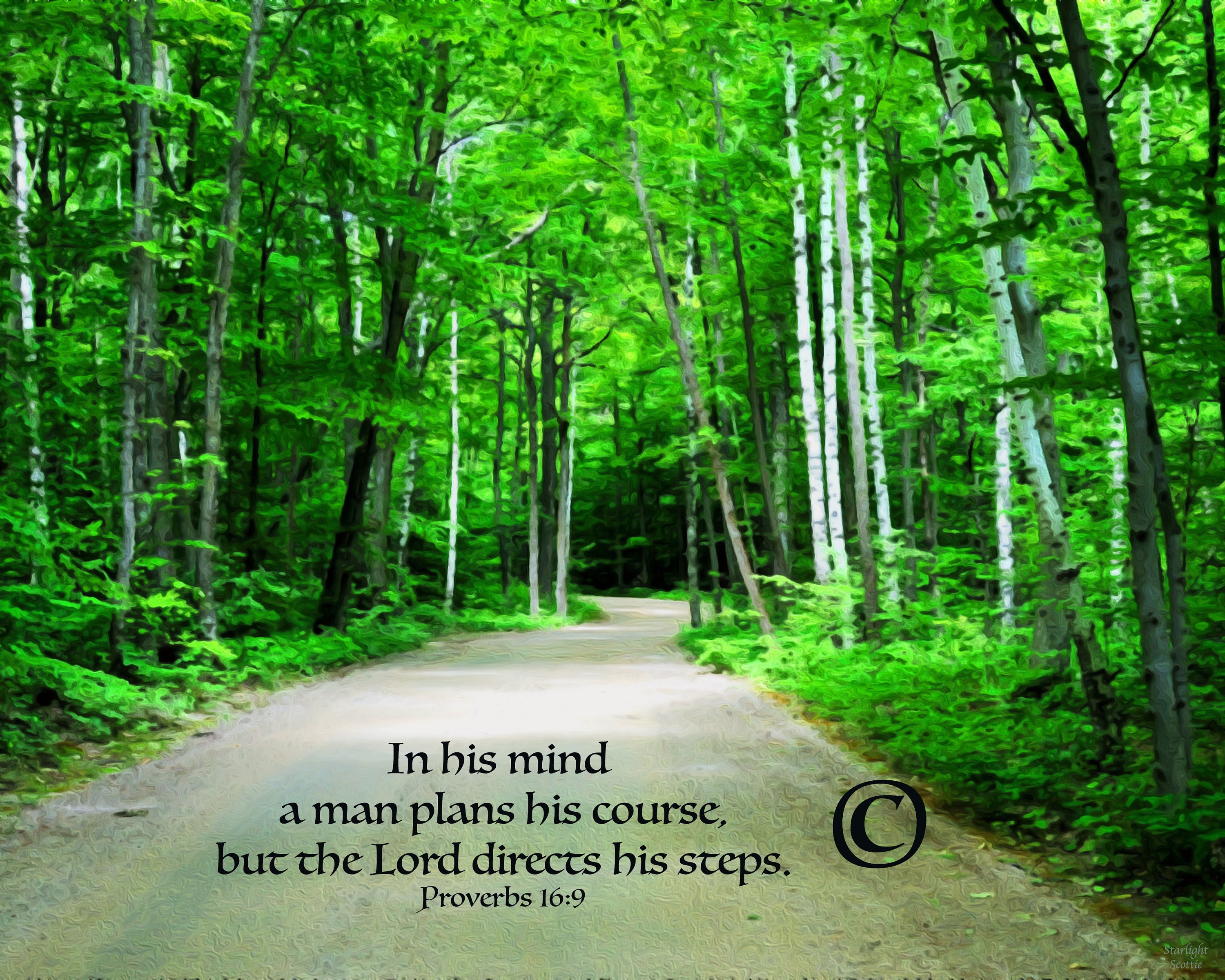 Proverbs 16:9 Forest walk Bible verse wall art Digital | Etsy