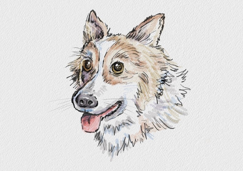 Custom Pet Drawing Unframed Art Print Dog Drawing Pet Sketch - Etsy