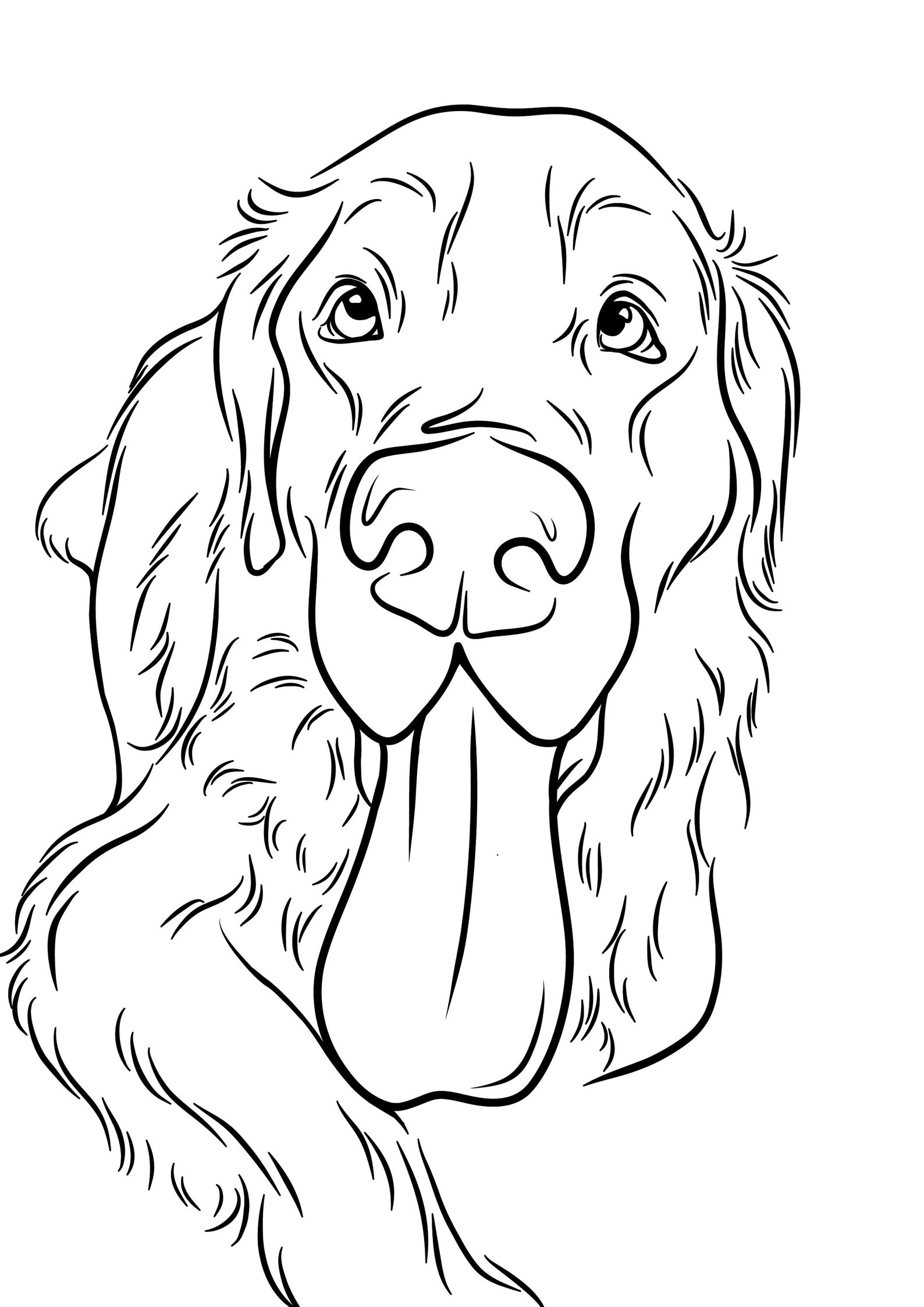 Custom Pet Ear Outline Drawing Dog Ear Drawing Pet Ear - Etsy