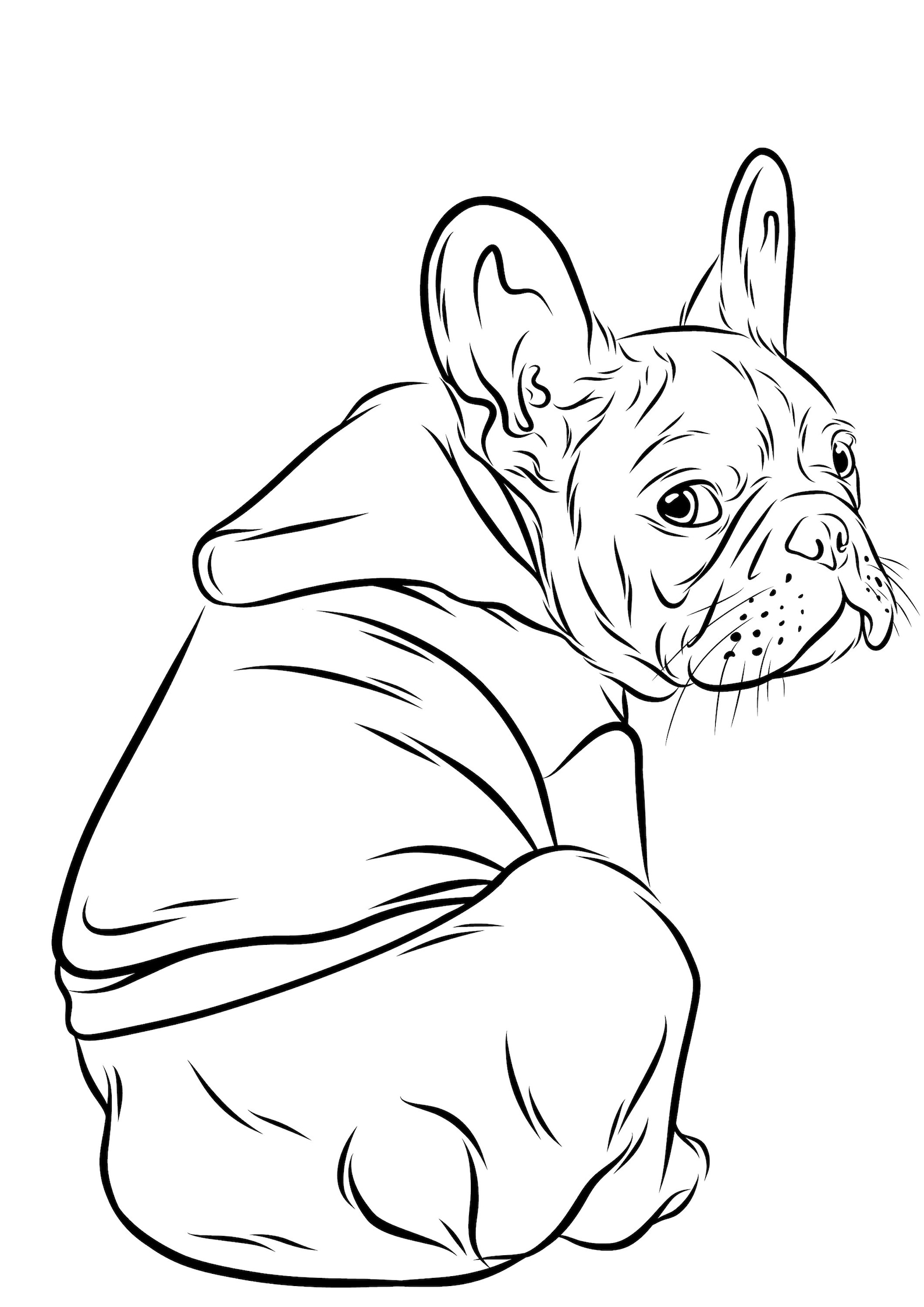 Custom Pet Ear Outline Drawing Dog Ear Drawing Pet Ear - Etsy