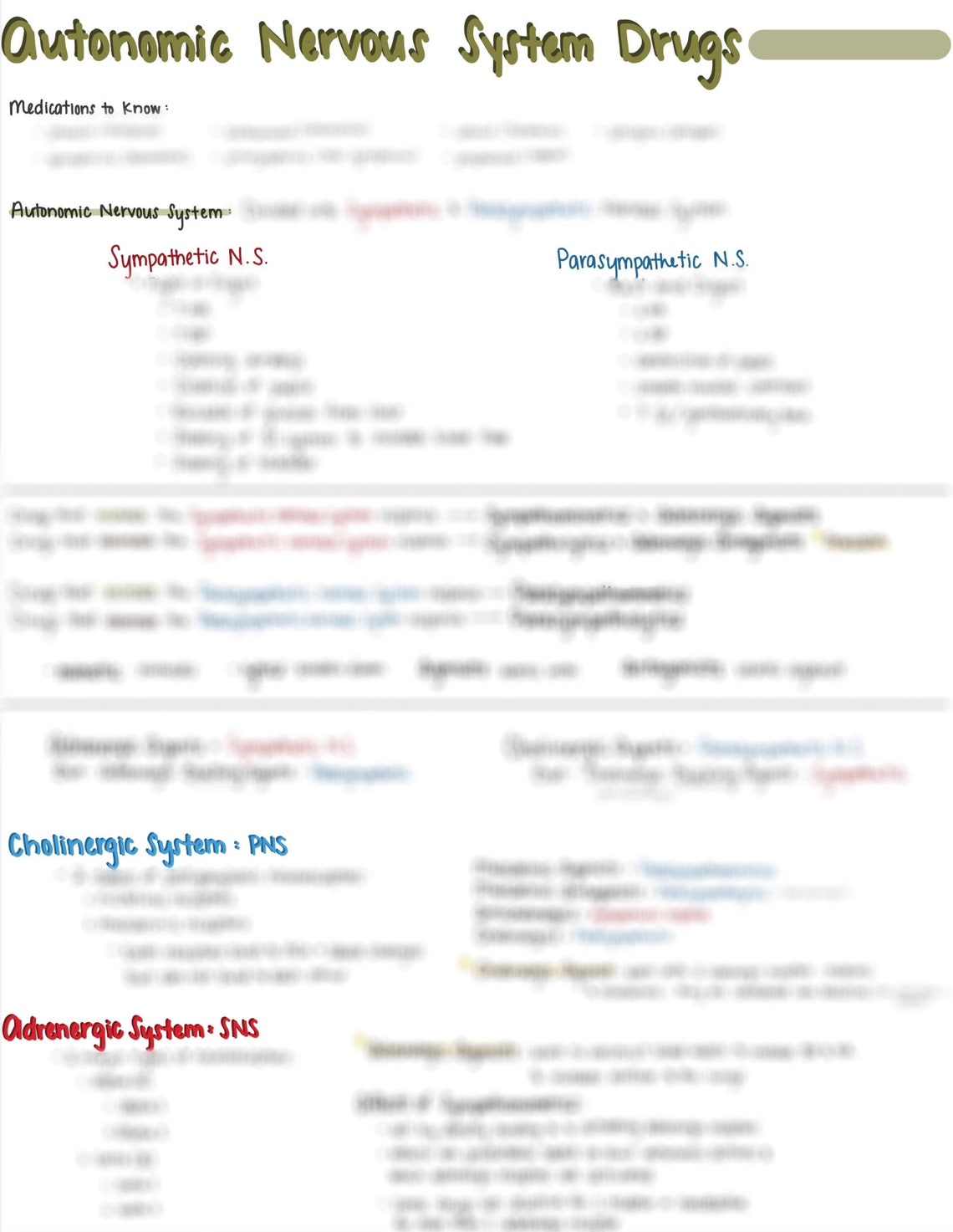 Autonomic Nervous System Drugs - Etsy