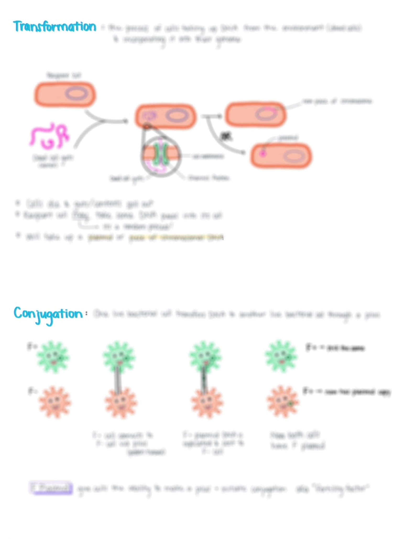 Microbial Genetics Mutations Mutagens Vertical and - Etsy