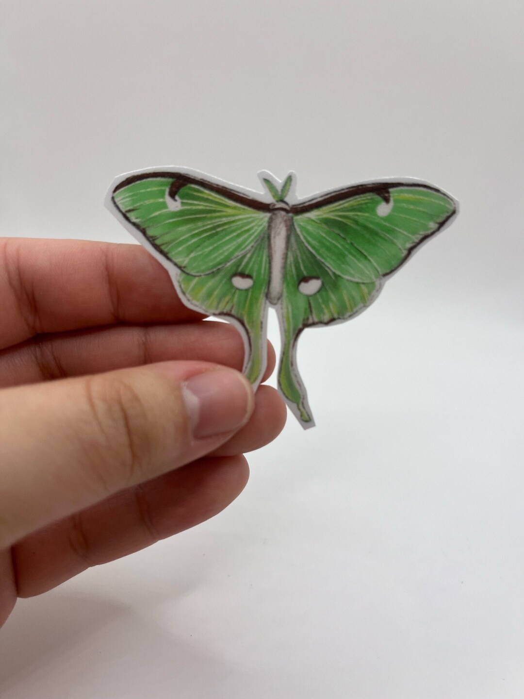 Luna Moth Sticker | Journaling | Decal | Crafts | Stationary - Etsy