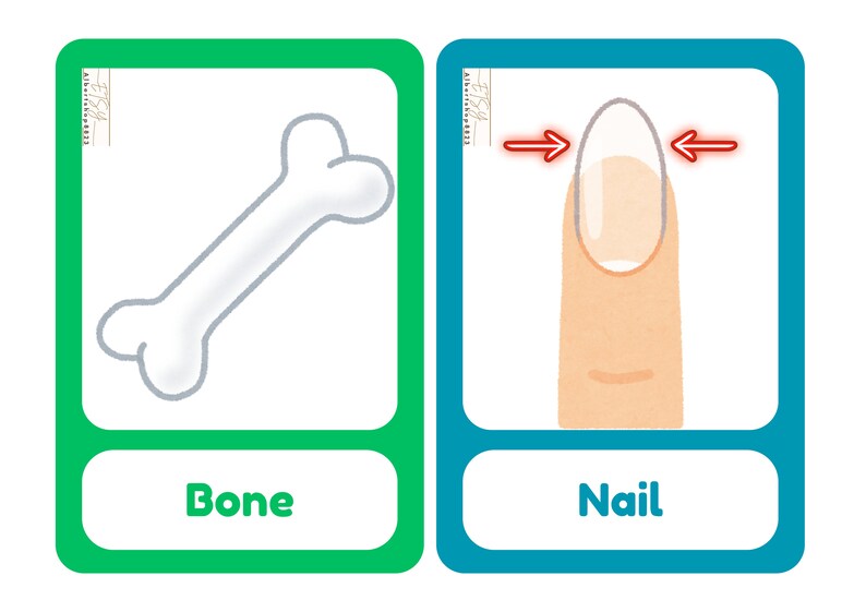 Flashcards of BODY (ENGLISH) for Kids (32 Flashcards) PDF - Etsy