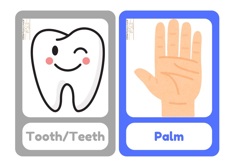 Flashcards of BODY (ENGLISH) for Kids (32 Flashcards) PDF - Etsy