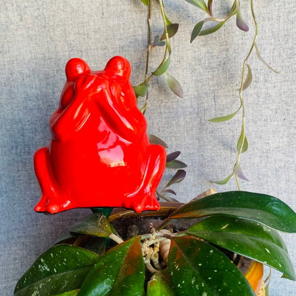 Frog Pitcher - Etsy