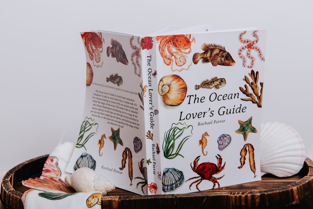 The Ocean Lover's Guide | Interactive Nature Guide | Seashore Guide - Etsy