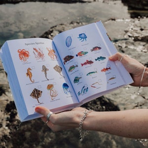 Ocean Lover's Guide | Illustrated Marine Life Nature Book - Etsy Canada