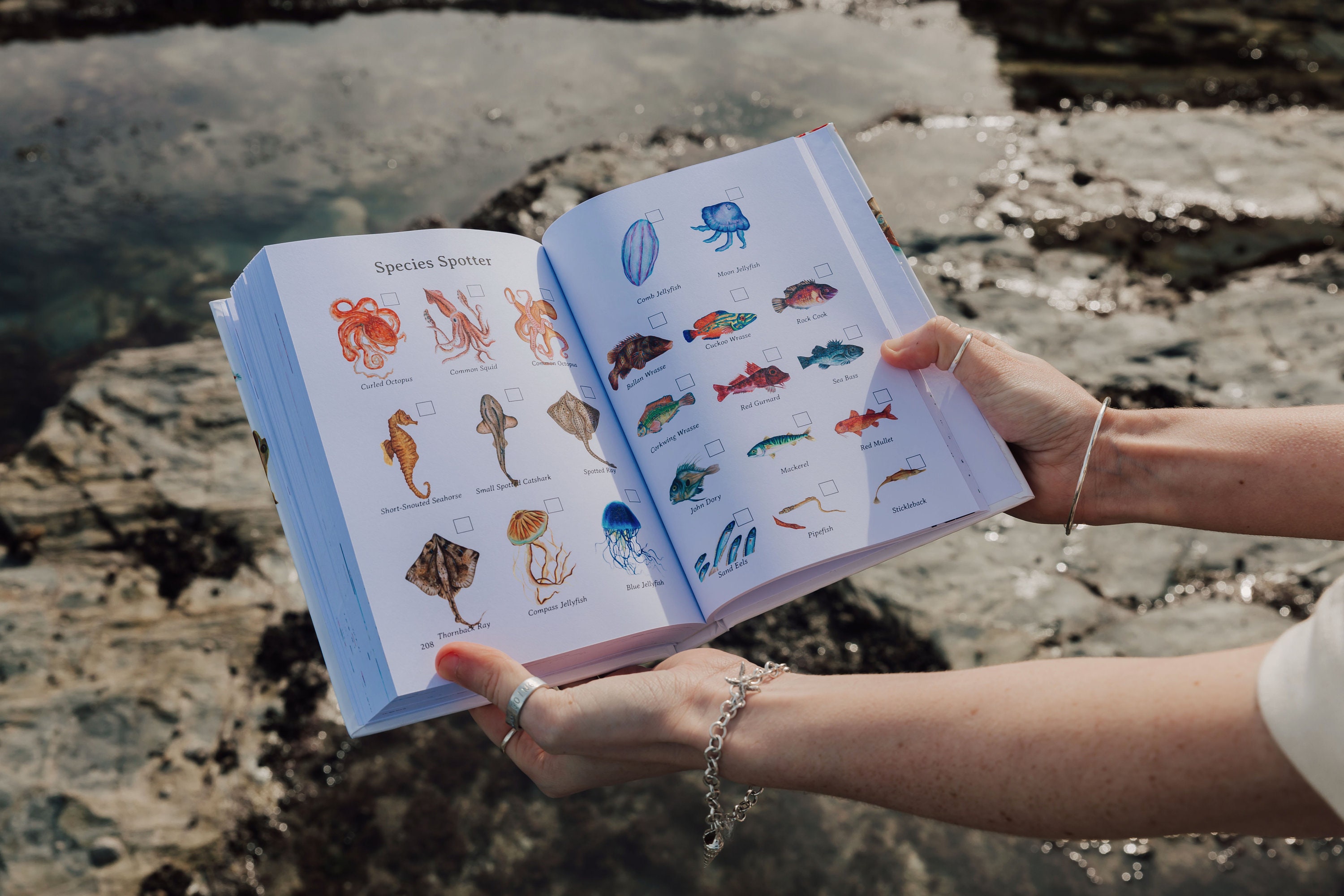 The Ocean Lover's Guide | Interactive Nature Guide | Seashore Guide - Etsy