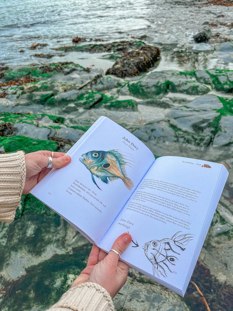 The Ocean Lover's Guide Interactive Nature Guide - Etsy