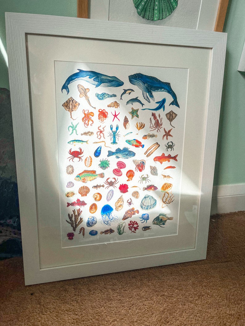 Ocean Lover's Guide Print | Sea Life Poster | Nautical Art - Etsy