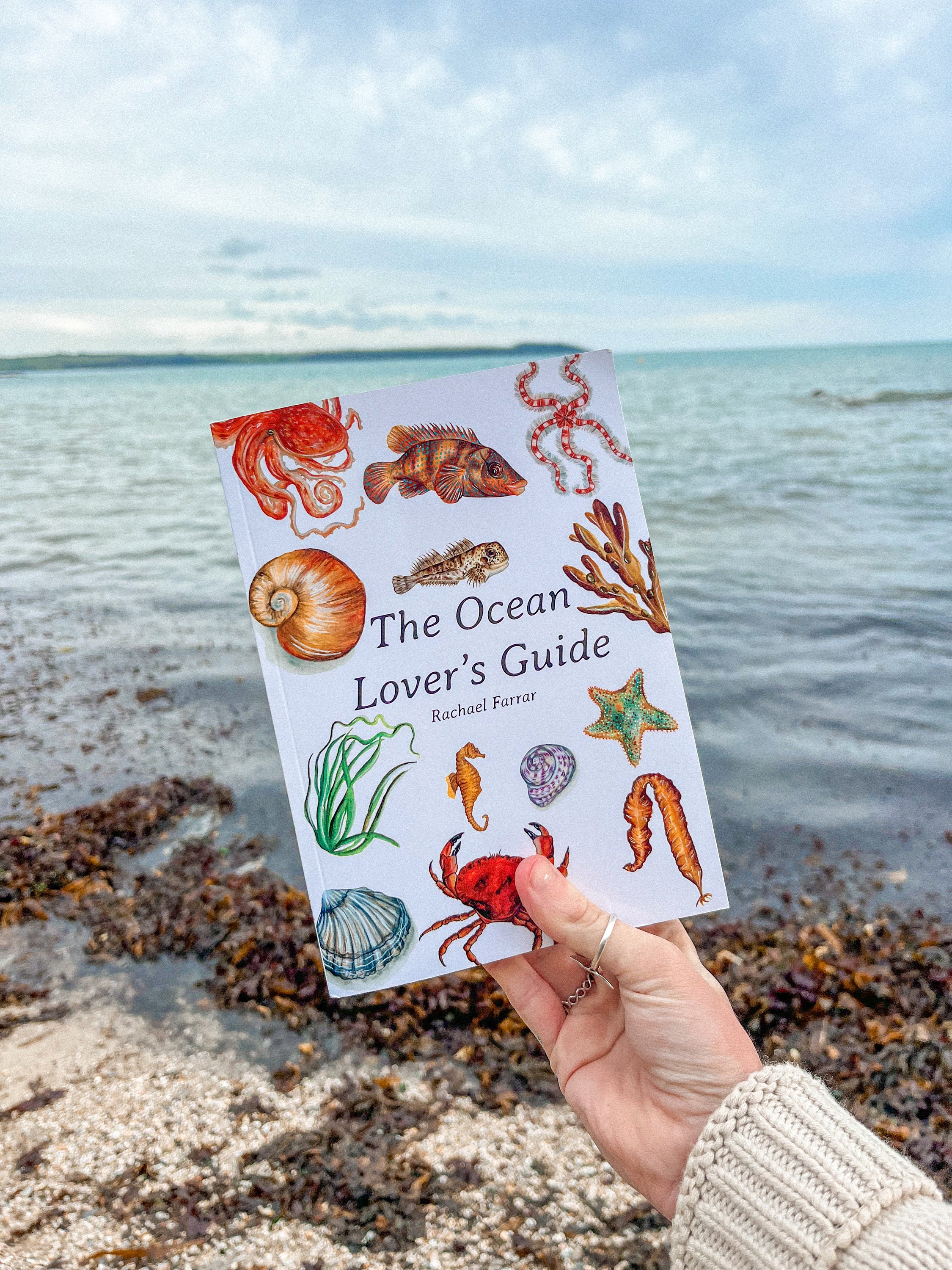 Ocean Lover's Guide | Illustrated Marine Life Nature Book - Etsy Canada