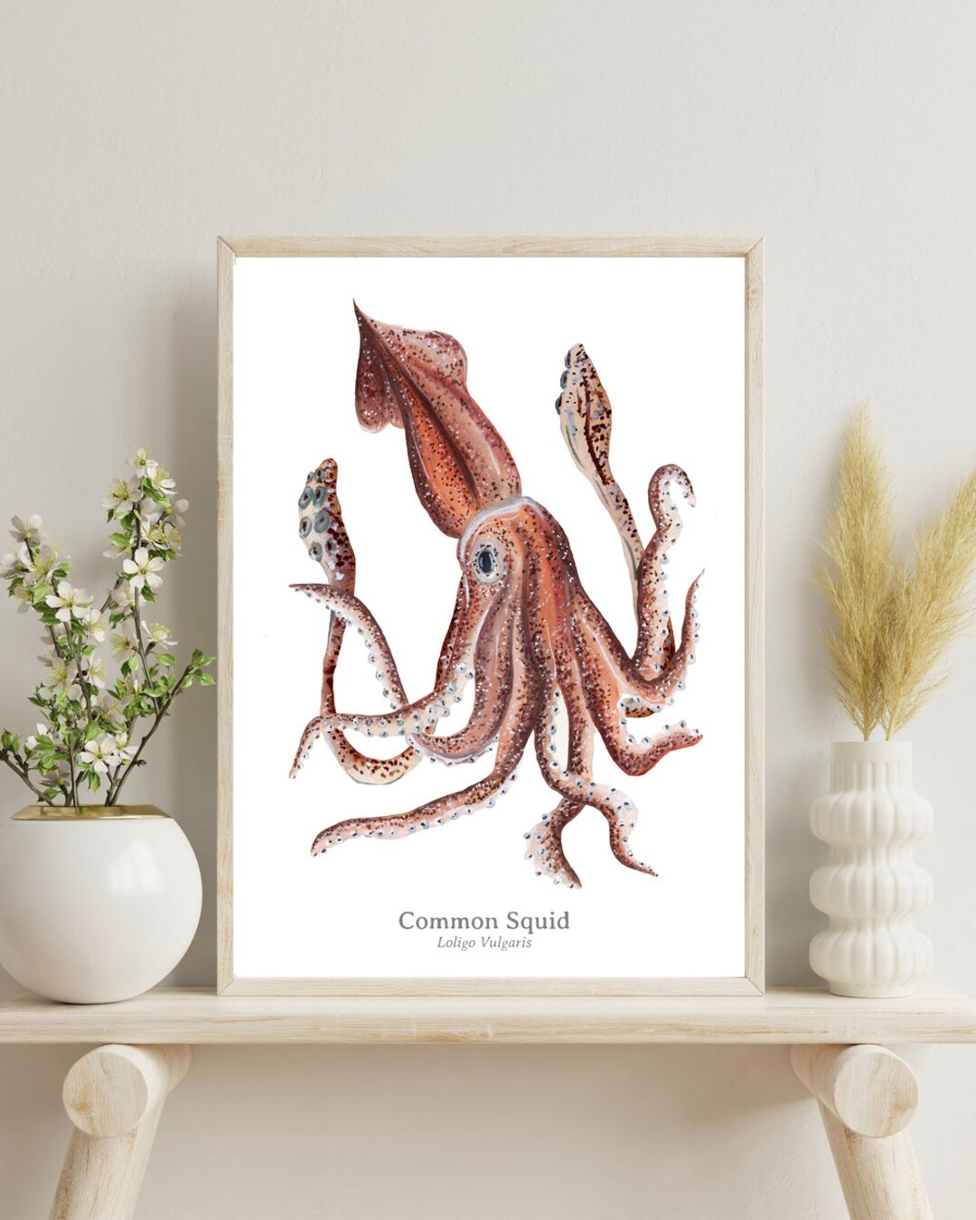 Common Squid Art Print | Marine Life Print | Nautical Wall Art - Etsy