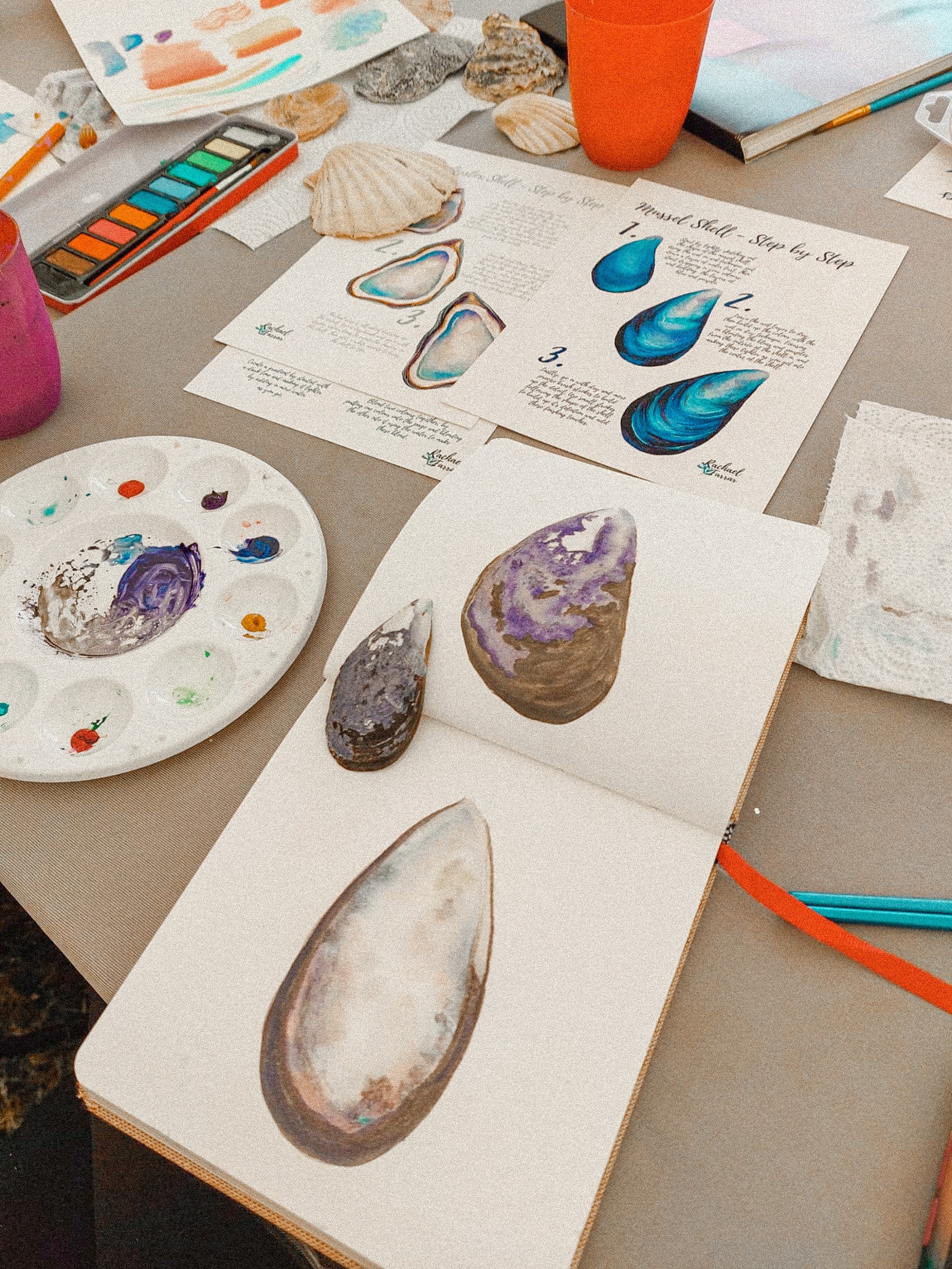 Sea Shell Step by Step Painting Guide Watercolour Shell Painting ...