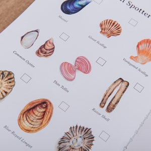 The Ocean Lover's Guide | Interactive Nature Guide | Seashore Guide - Etsy