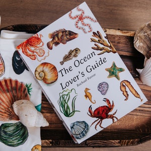 Ocean Lover's Guide | Illustrated Marine Life Nature Book - Etsy