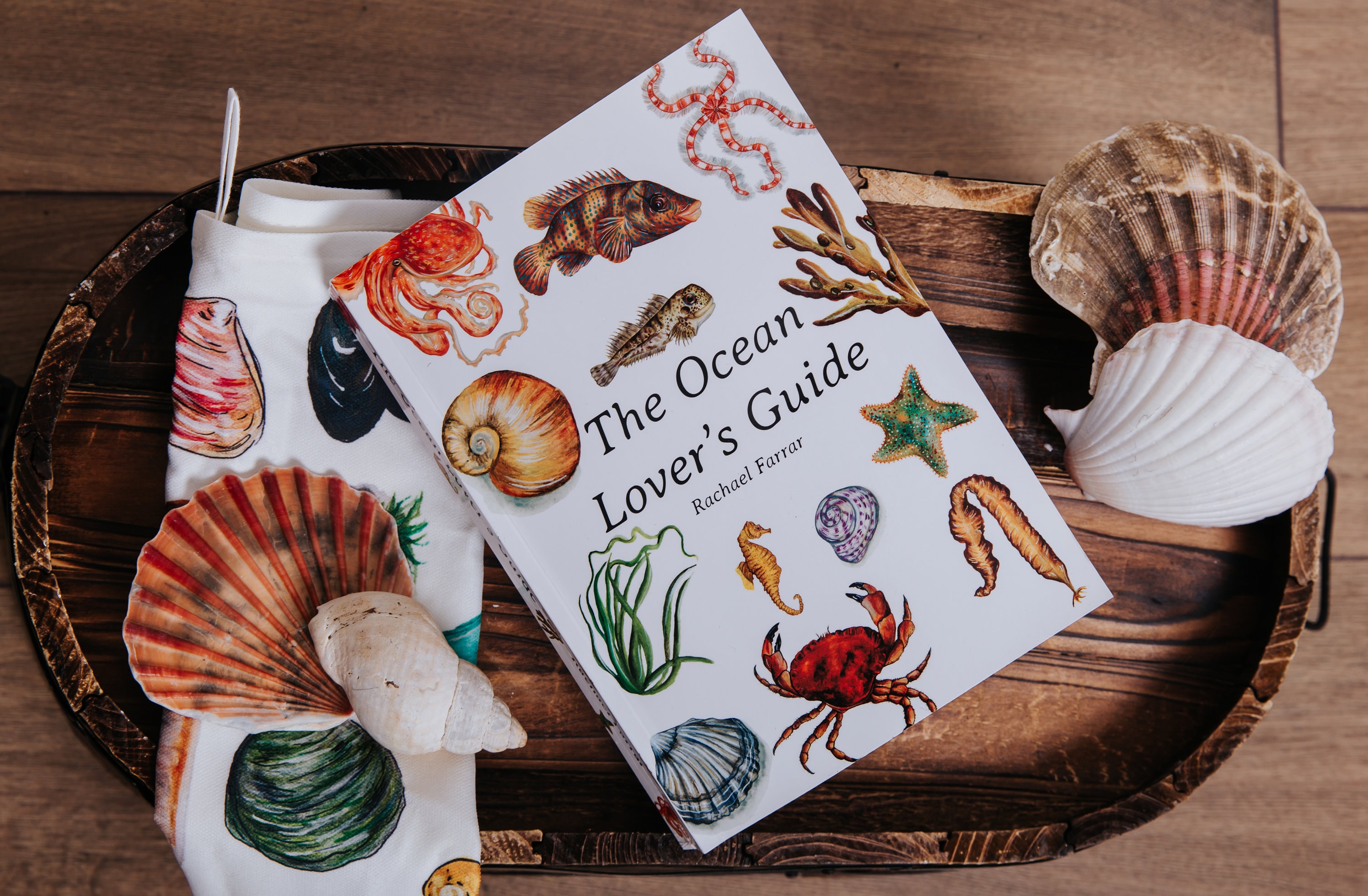Ocean Lover's Guide | Illustrated Marine Life Nature Book - Etsy