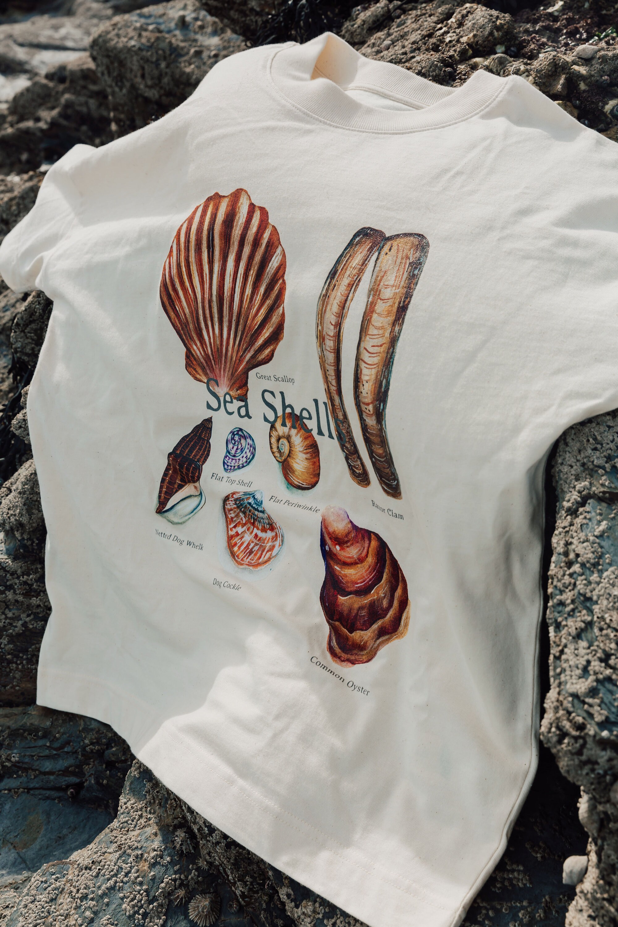 Sea Shells Oversized Tee | Vintage Inspired Shell Tee - Etsy