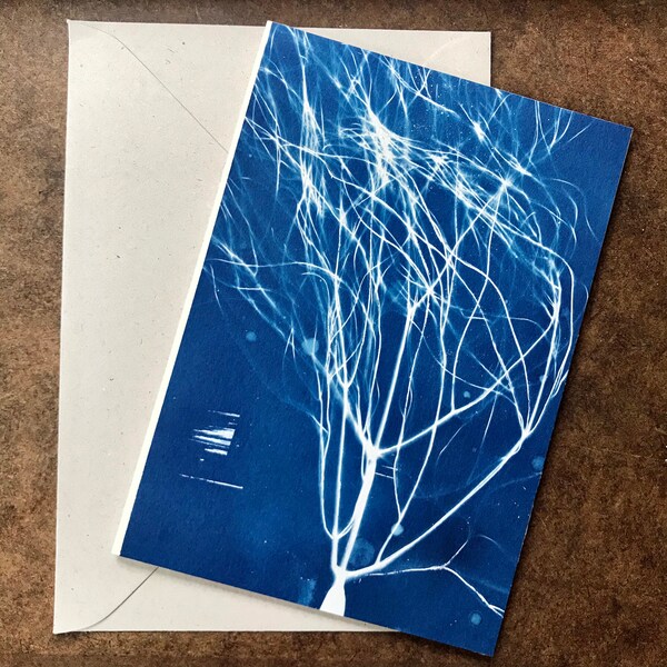 Cyanotype - Etsy UK
