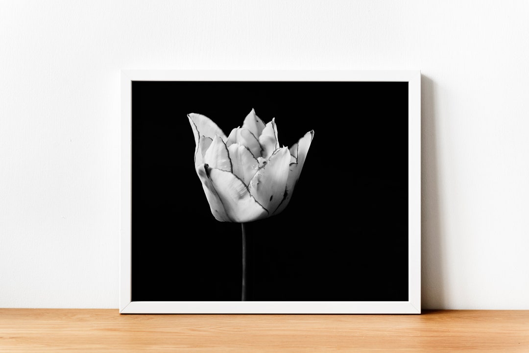 Tulip Printable, Tulip Print, Tulip Wall Art, Floral Print, Black and ...