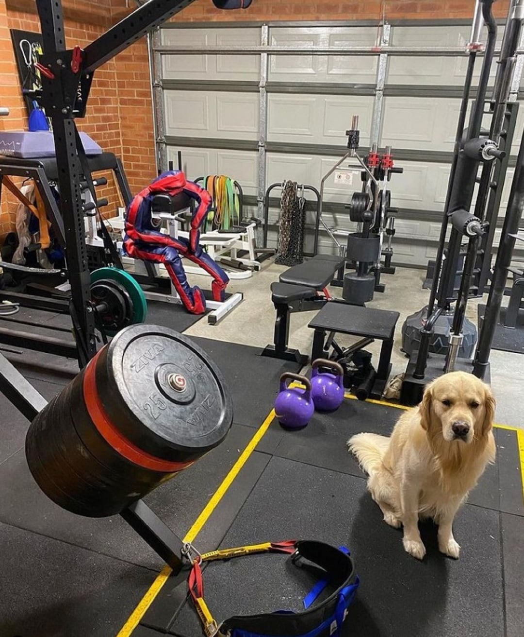 Internal Machine Extenders by Gympin ADD MORE WEIGHT to Plate Loaded ...