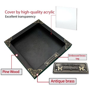 Real Framed Butterfly Sunset Moth Urania Ripheus Dried Insect Frame ...