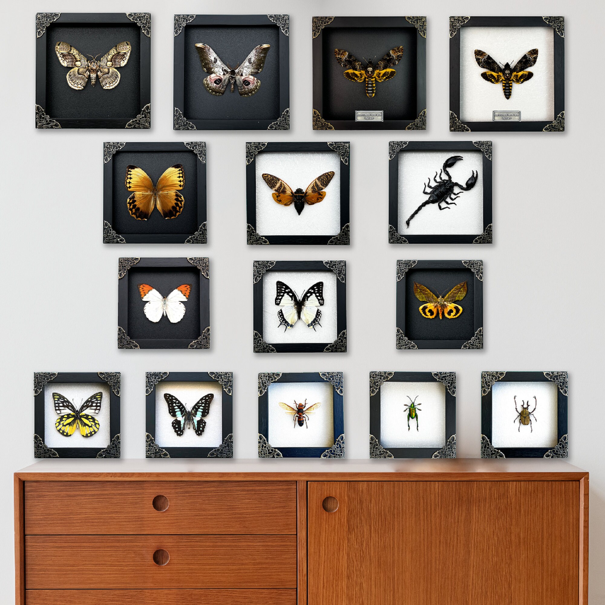 Real Framed Butterfly Handmade Shadow Box Insect Frame - Etsy
