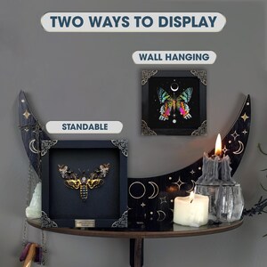 Real Framed Giant Actias Luna Moth 3D Floating Shadow Box Insect ...