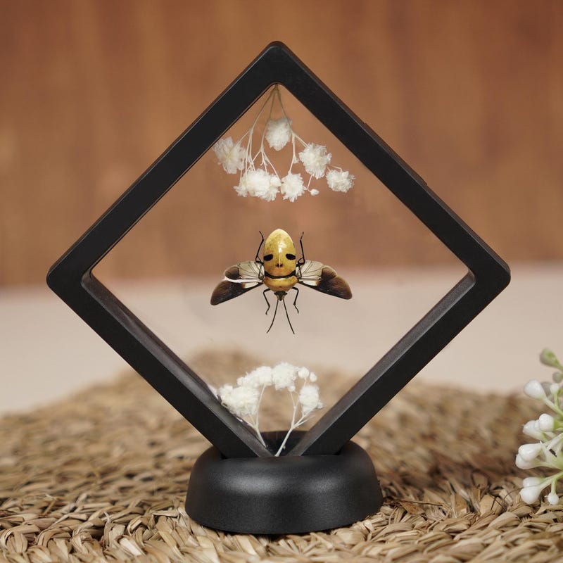 Insect Sculpture - Etsy