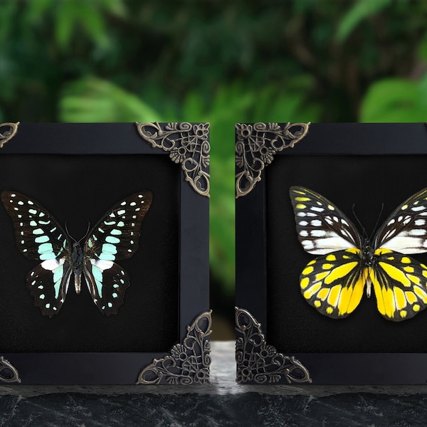 Insect Wall Hanging - Etsy