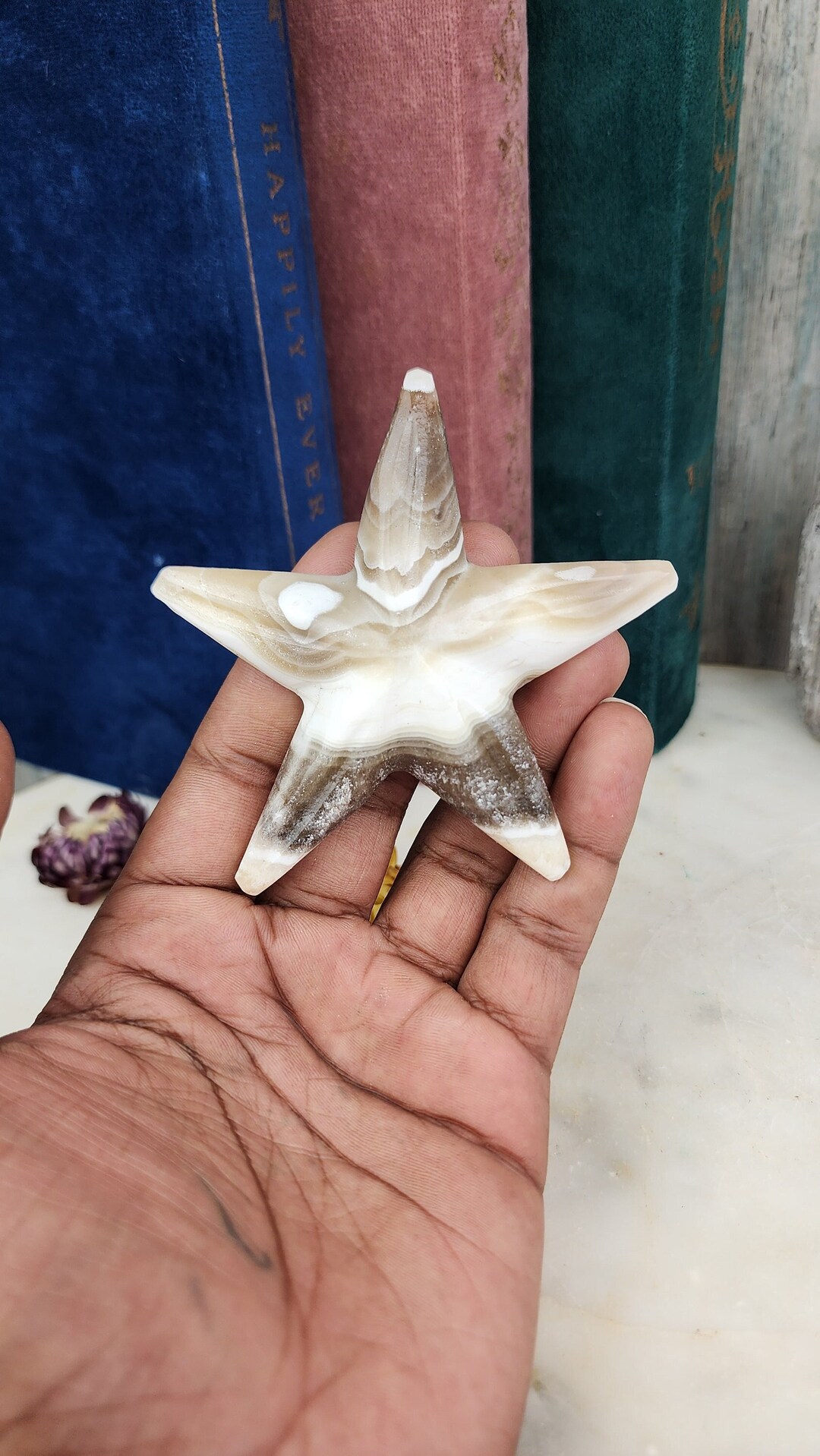 Zebra Onyx Starfish Carvings - Etsy