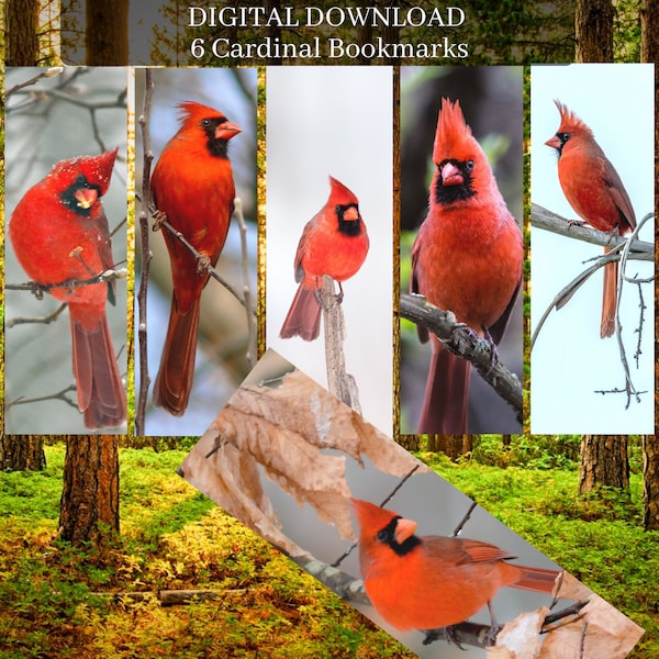 Cardinal Printable - Etsy