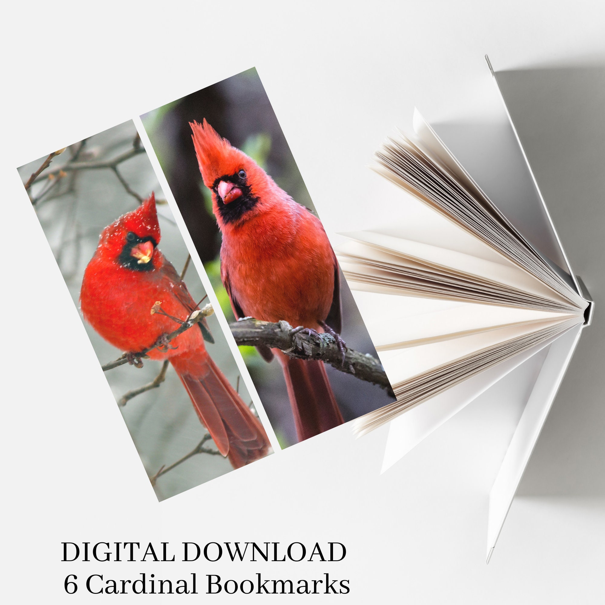 Set of 6 Cardinal Bookmarks Red Birds Download Digital Printable - Etsy
