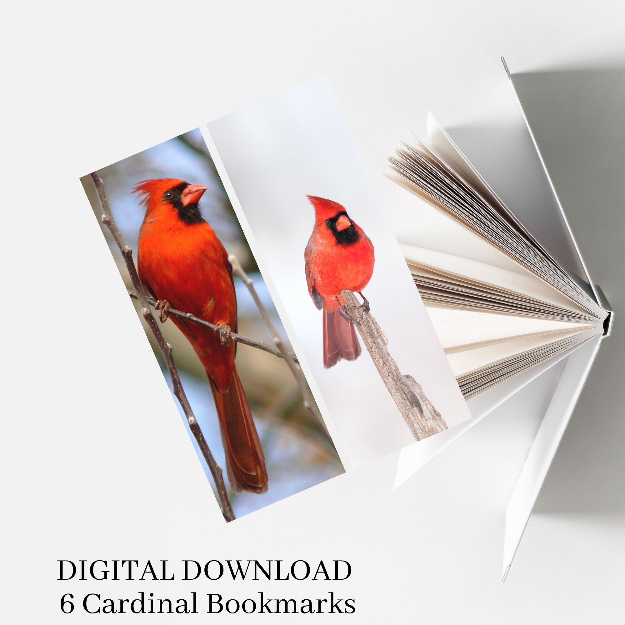 Set of 6 Cardinal Bookmarks Red Birds Download Digital Printable - Etsy