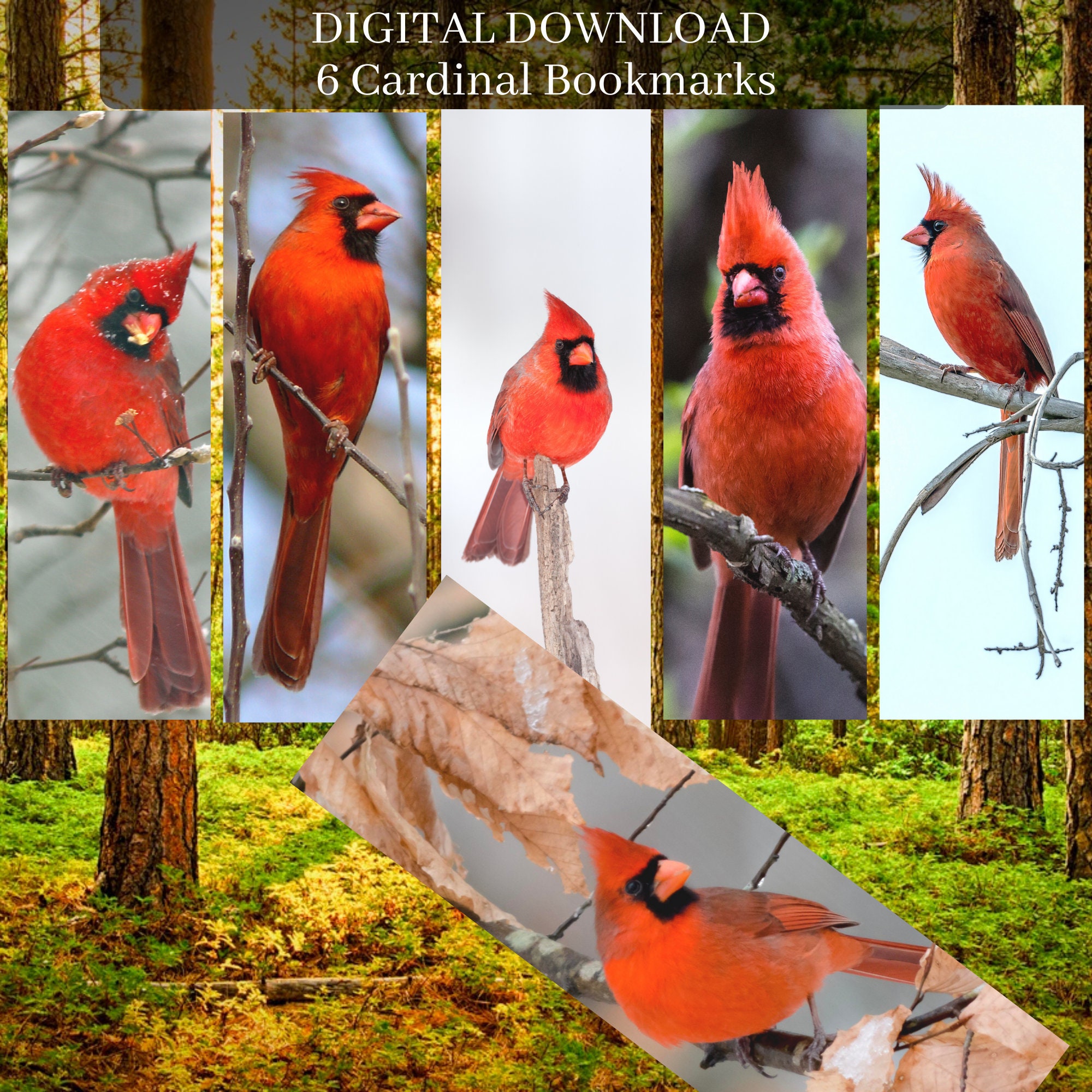 Set of 6 Cardinal Bookmarks Red Birds Download Digital Printable - Etsy