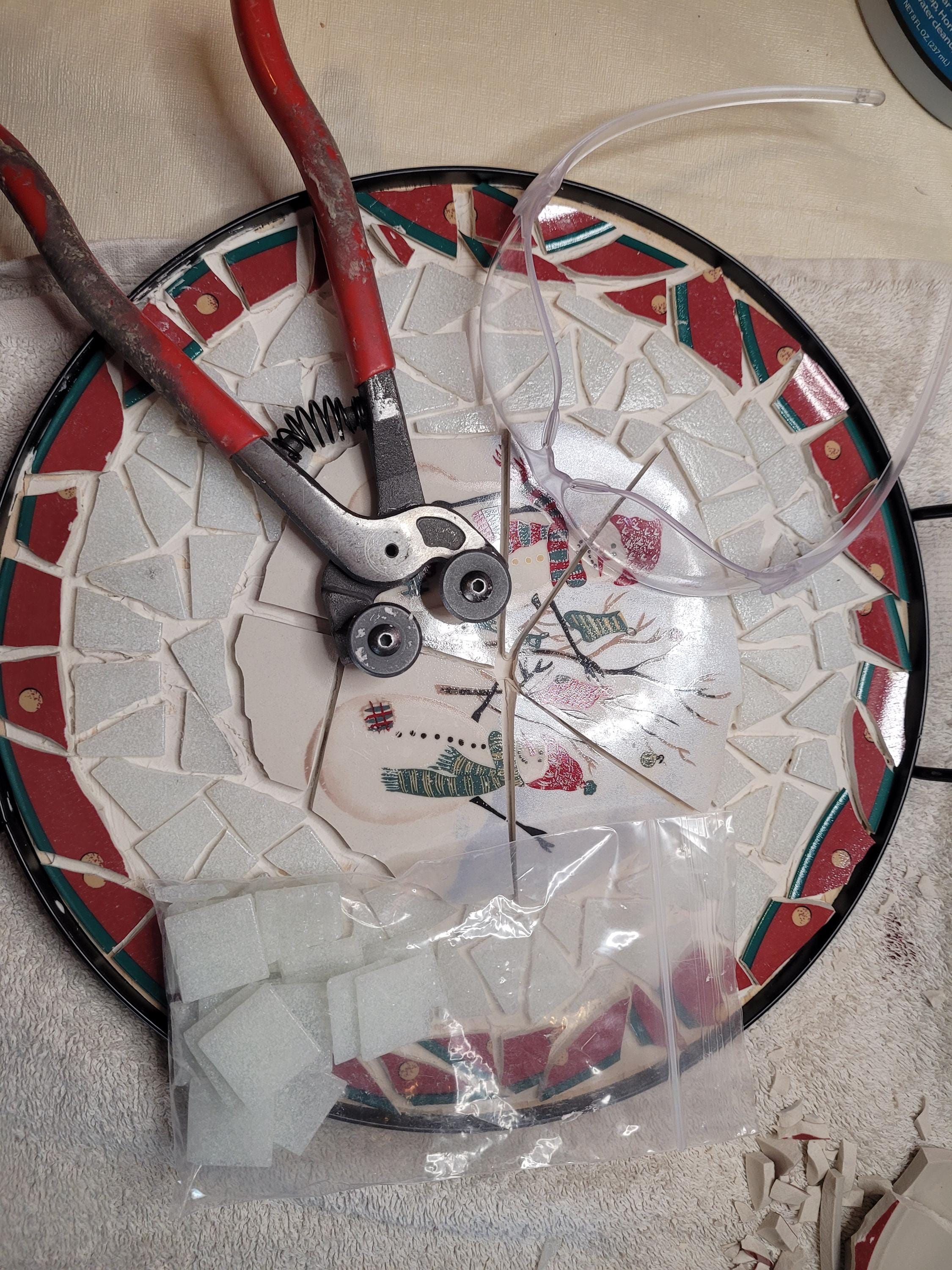 DIY Mosaic Tray Kit: Plate Smashing Craft Project - Etsy