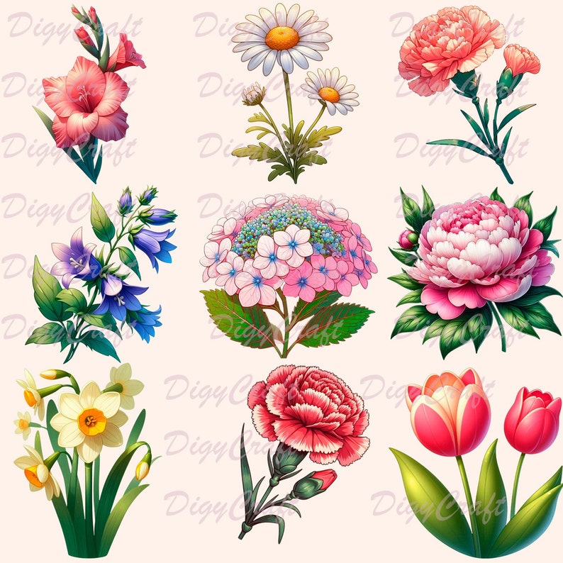 50 PNG- Flowers, Summer Flowers, Flowers Clipart, TRANSPARENT ...