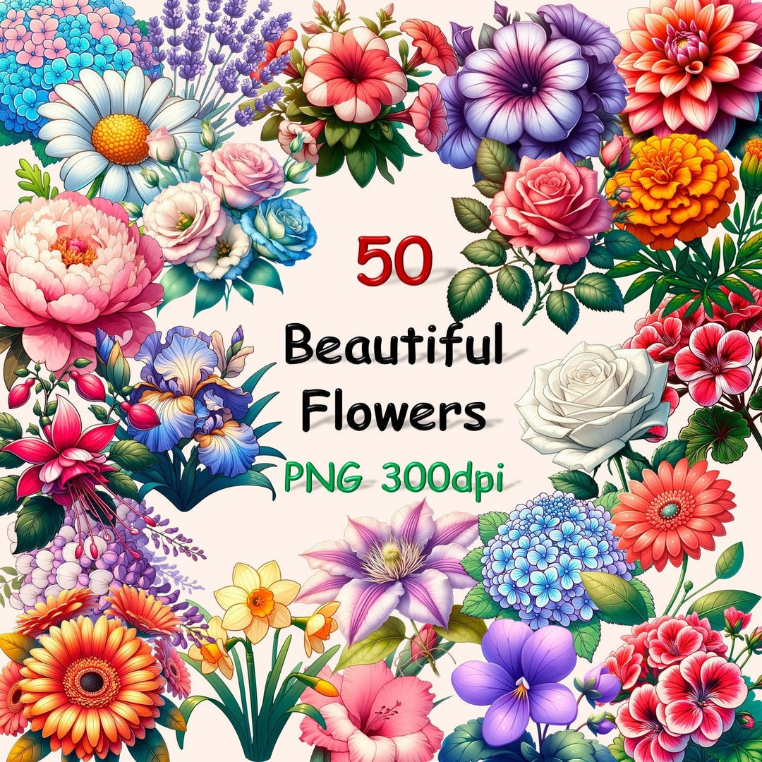 50 PNG- Flowers, Summer Flowers, Flowers Clipart, TRANSPARENT ...